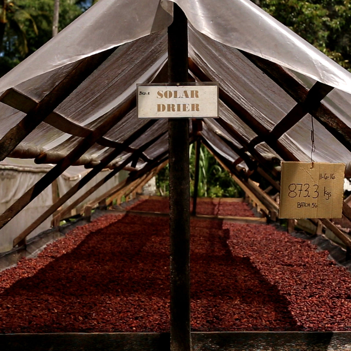 How Auro Makes World-Class Chocolate Locally and Sustainably – Auro ...