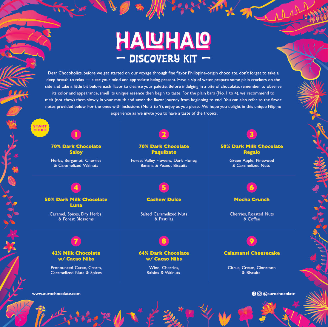 HaluHalo Discovery Kit – Auro Chocolate